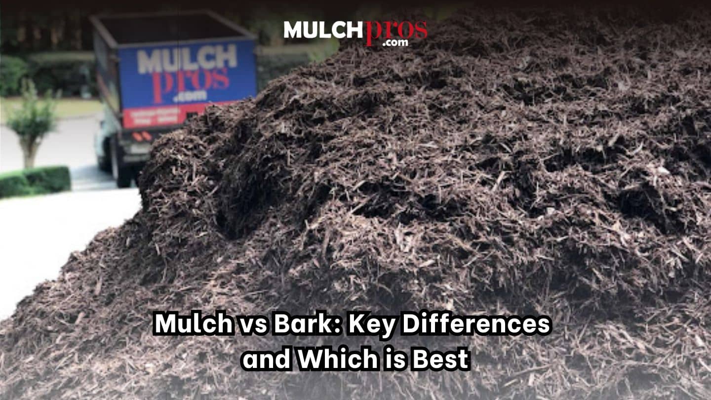 Mulch vs Bark: What's The Difference & Which is Best?