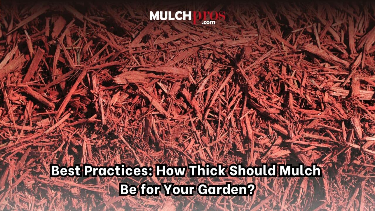 How Thick Should Mulch Be Laid to Improve Garden Health