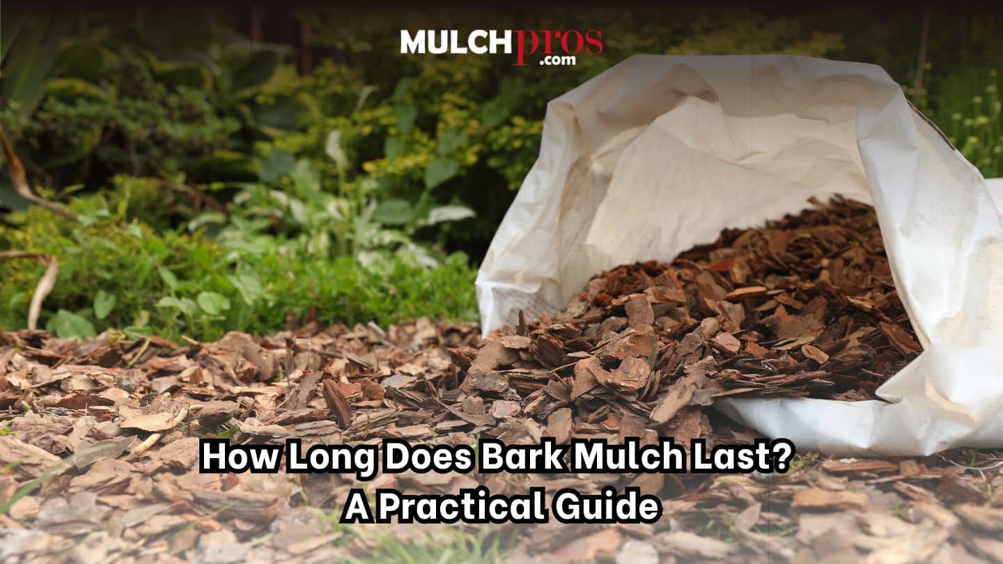 How Long Does Bark Mulch Last? Lifespan & Maintenance Tips